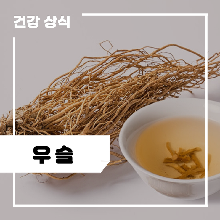 관절에 좋은 약초 우슬 뿌리 효능 및 부작용 우슬 등 복합물 추천 네이버 블로그