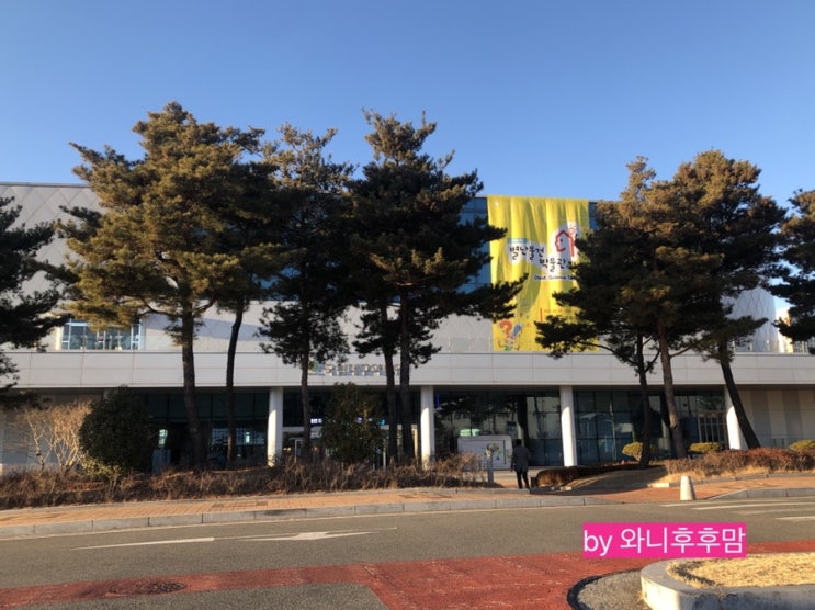 국립대구과학관상설전시관 대구 5세아이 데리고 갈만한곳 네이버 블로그