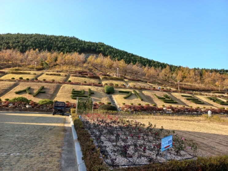 갯마을 차차차 촬영지 중 언덕 위의 배가 있는 포항 사방기념공원 다녀온 이야기 네이버 블로그