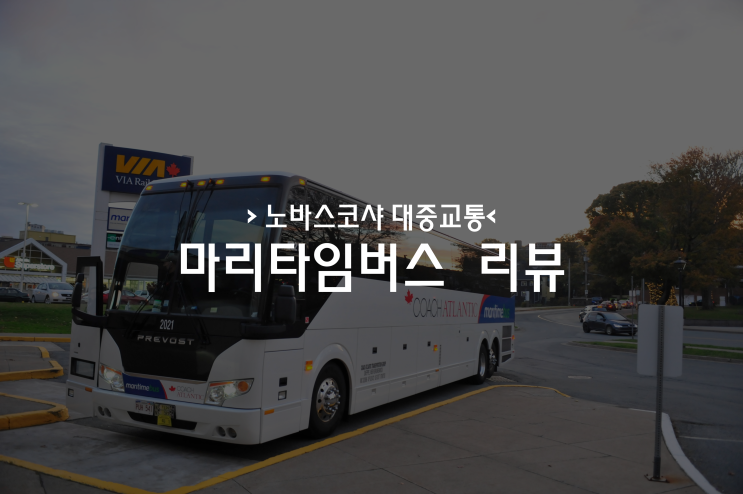 노바스코샤 마리타임 버스 (Maritime Bus) 이용후기 : 네이버 블로그