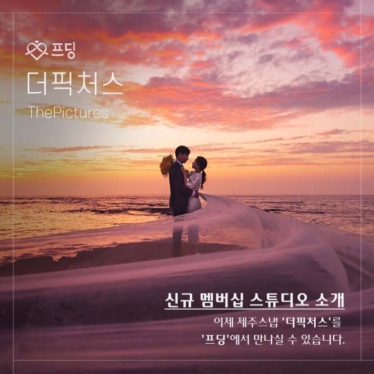 더픽처스, 프딩 신규 멤버십 제주스냅 스튜디오 소개 : 네이버 블로그