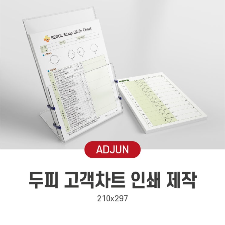 두피 고객차트 인쇄물 제작 방법 : 네이버 블로그