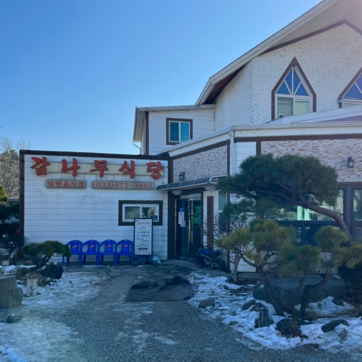 강원도 양양 가면 무조건 먹어야하는 맛집 감나무식당 황태국밥 완뚝배기 후기 네이버 블로그