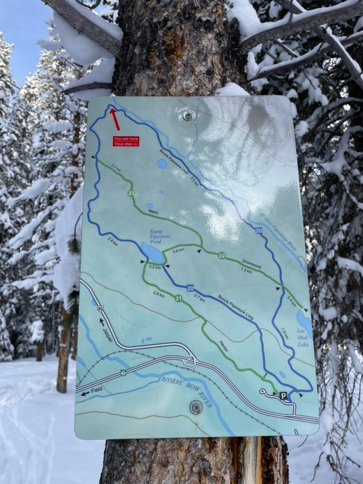 [XC Ski] Pipestone Loop / near Lake Louise(Hwy 1), AB : 네이버 블로그