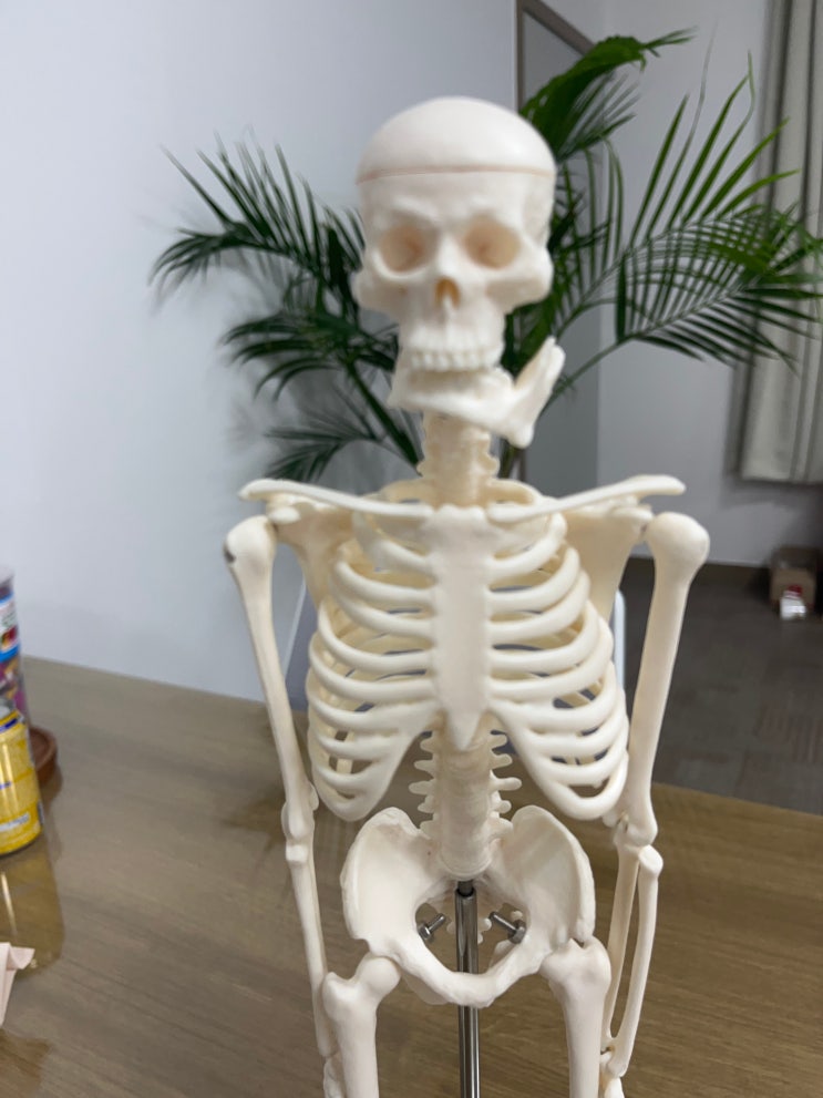 배고픔 배고플 때 느끼는 : 네이버 블로그