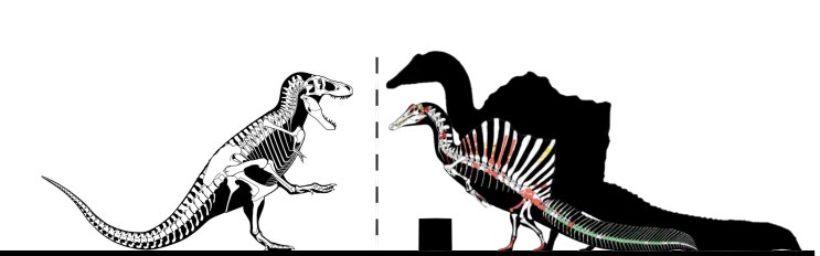 Spinosaurus size comparison : 네이버 블로그