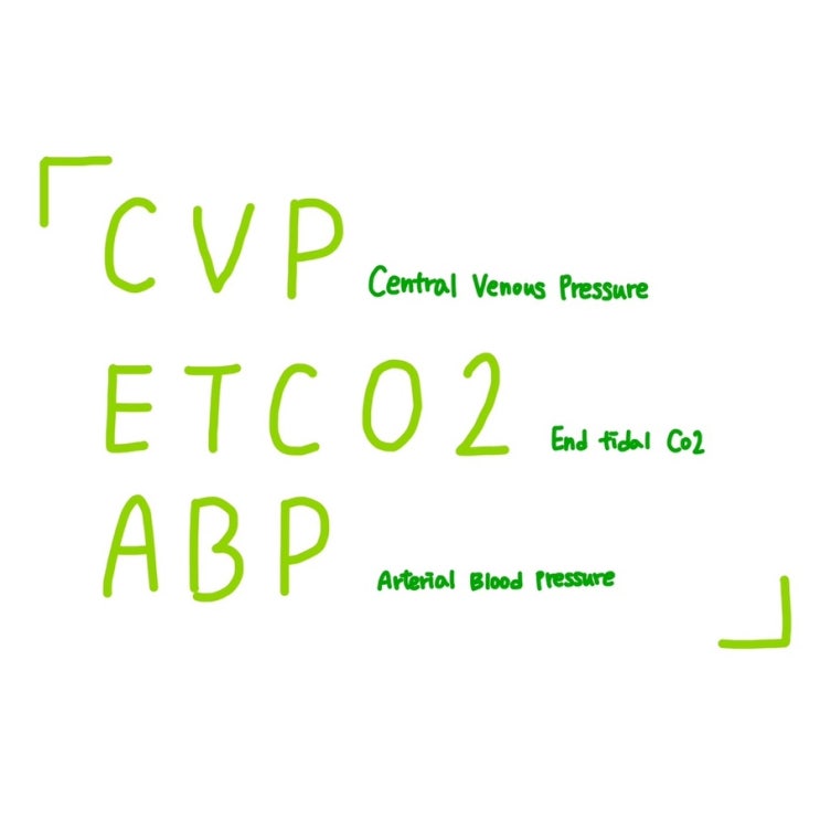 CVP, ETCO2 monitoring, ABP zeroing : 네이버 블로그