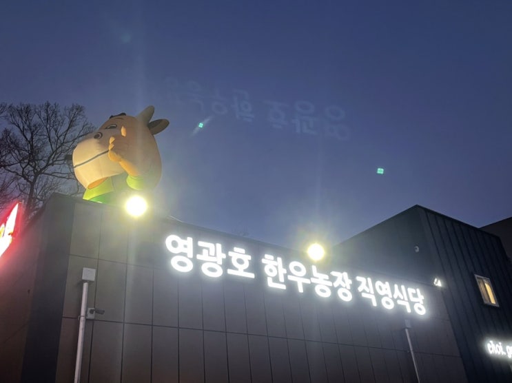 남양주 영광호 한우농장 직영식당 직접 기른 등급 좋은 한우 소고기 맛집 후기 네이버 블로그