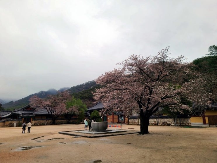 아름다운 풍경 .⛰️속리산 법주사 역사기행 : 네이버 블로그