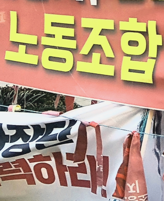 노조위원장 선거 연설문 원고 예문 대여 정견문 소견문 발표문 작성 샘플 예시문 노동조합 지부장 지회장 출마 입후보자 공약