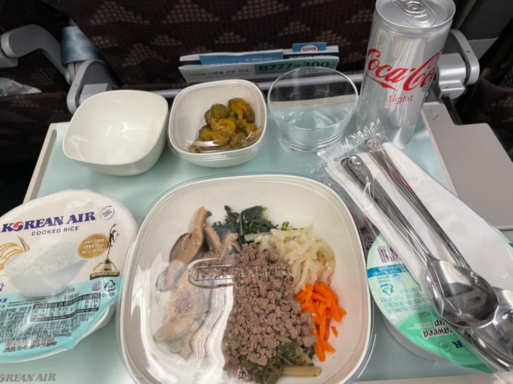 싱가포르여행/코로나 시국의 VTL 국제선 비행, 대한항공 KE646 & KE 645 : 네이버 블로그