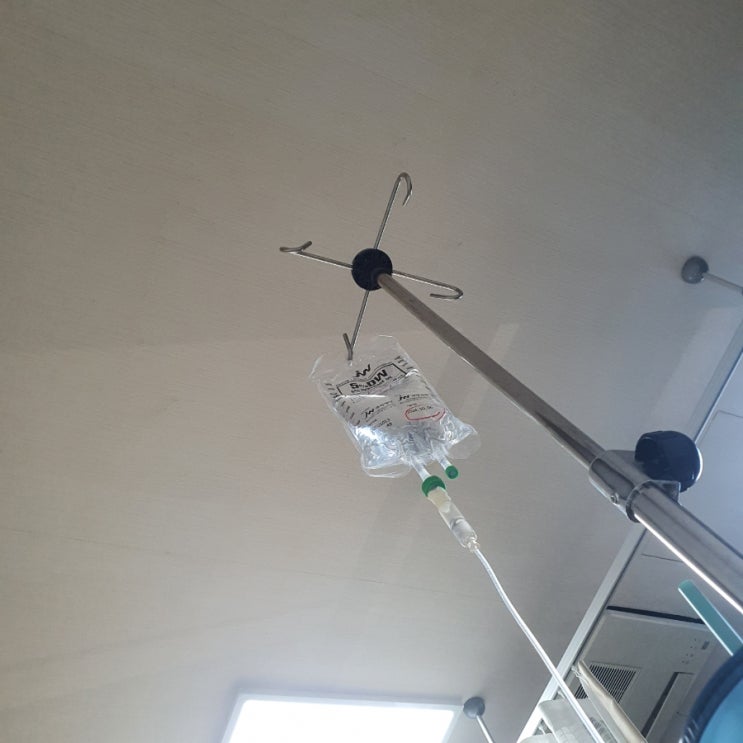 조산기 입원 시 유용한 정보 2탄 입원비 실비지원 고위험산모지원 지원여부 확인하기 상급병실료 차액 네이버 블로그