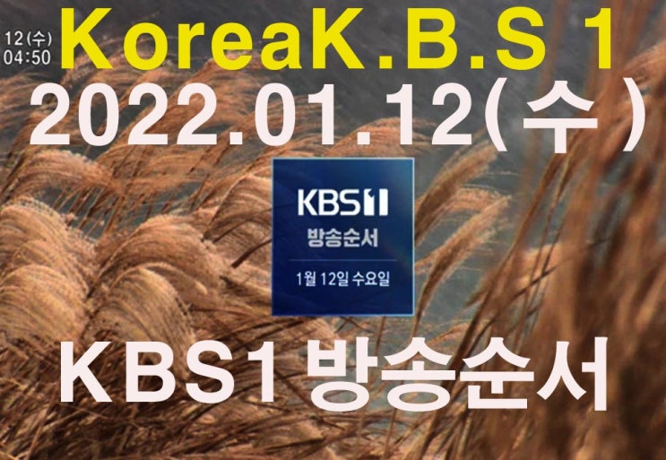KBS1방송순서 : 네이버 블로그