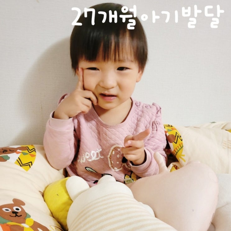 27개월아기발달 키 몸무게 신체 언어 사회정서 빛나는 일상 네이버 블로그
