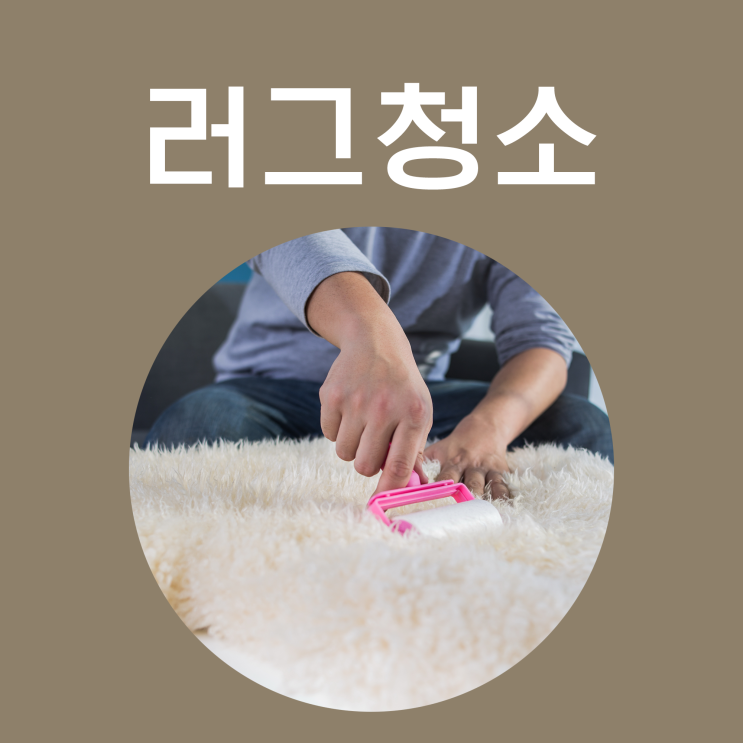 거실 러그 카페트 청소 방법 세탁법 버리기 세탁기 집먼지 진드기 퇴치법 제거 네이버 블로그