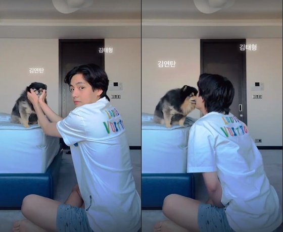 방탄소년단 뷔 : BTS V shares a happy time with his dog Yeontan : 네이버 블로그