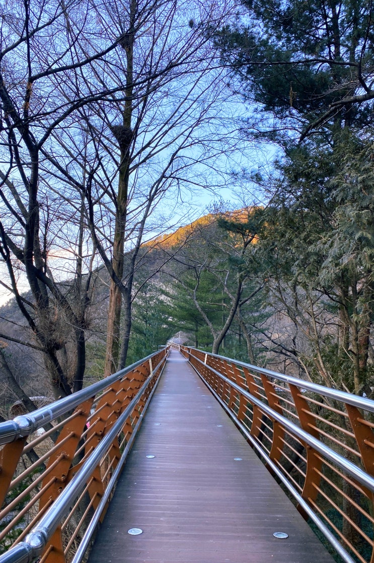 대전 드라이브 코스 갈만한곳 만인산 자연휴양림 산책로 먹거리 봉이호떡 네이버 블로그