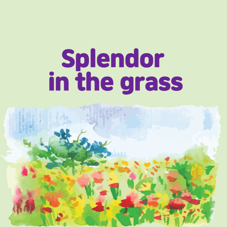 Splendor in the grass By William Wordsworth. 영어표현 알아보자. : 네이버 블로그