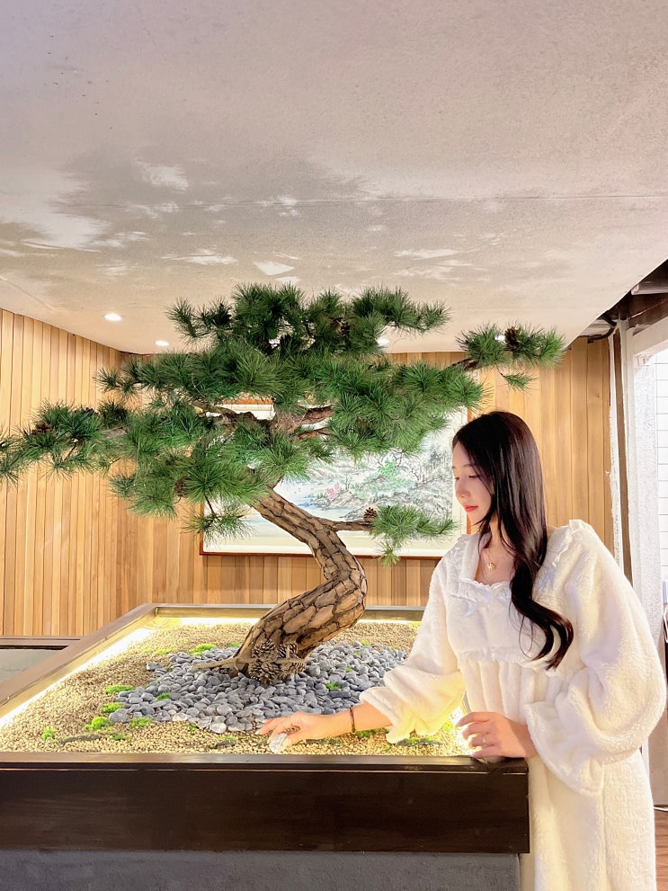 숙소) 서울 도심속에 위치한 소나무 한옥숙소 서촌 '여느날' : 네이버 블로그