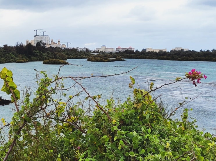 사이판 산책하기 좋았던 Eloy S. Inos 평화 공원 : 네이버 블로그