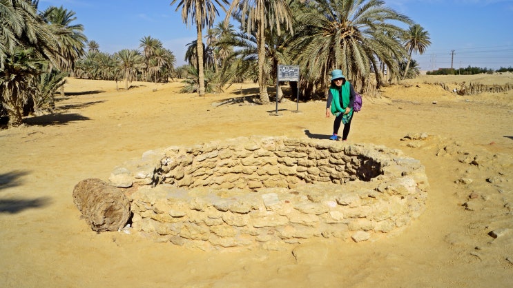 마라 샘(The Wells at Marah) / 이집트 시나이 반도 : 네이버 블로그