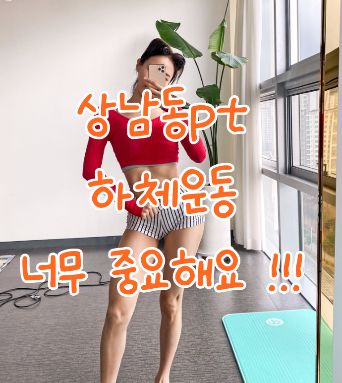 11 상남동pt 하체운동 피트니스055 파워레그프레스 모든 허벅지운동 운동방법 꿀팁 네이버 블로그