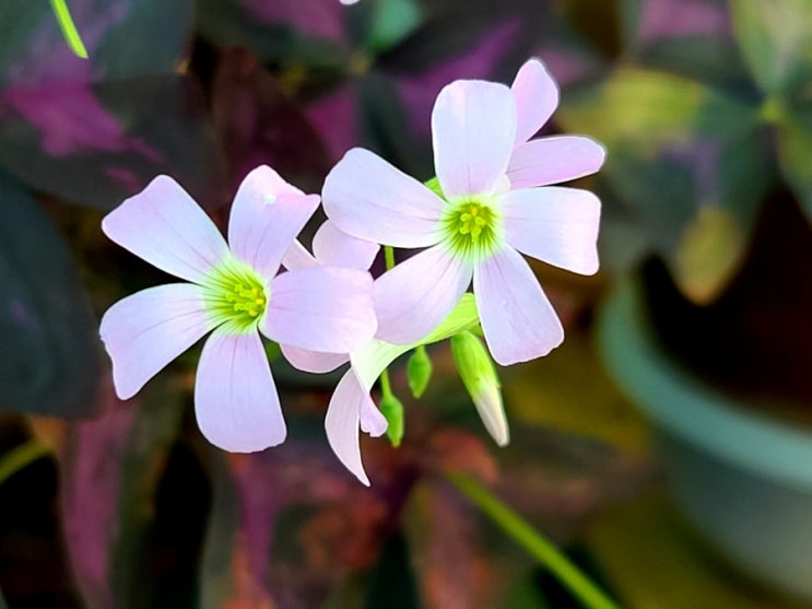 거래처를 좋은 이웃으로... (나의 흔적. 4) : 네이버 블로그