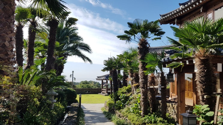 2018년 제주도 - (제주도 가족들과 가기 좋은 한옥호텔 '한라궁', 제주 한옥 독채 감성숙소 한라궁 리뷰) : 네이버 블로그