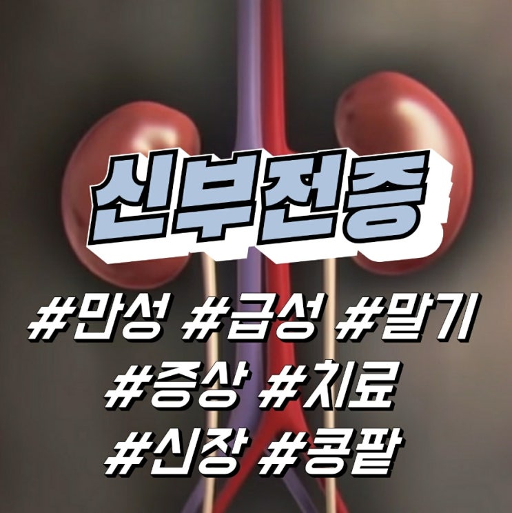 신장질환 만성 급성 신부전증 증상 및 치료 신장콩팥 말기 네이버 블로그