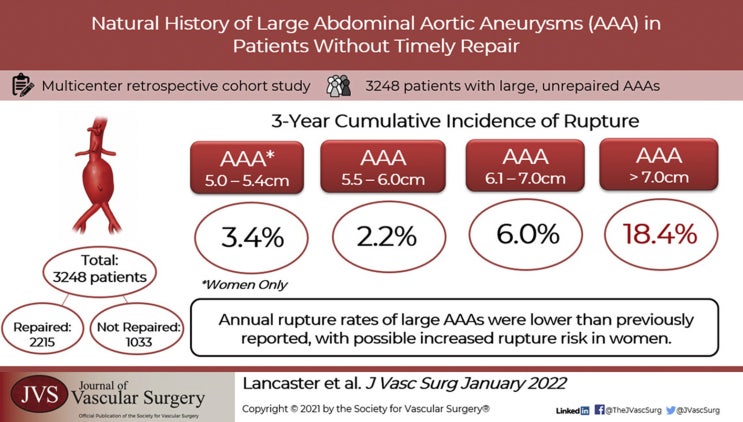 [동맥질환이야기-인천외과의원] 복부대동맥류의 위험성 : 네이버 블로그