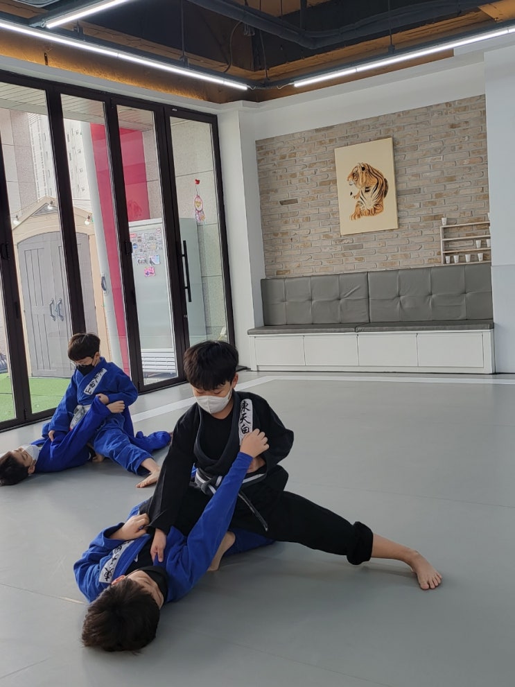 몬스터짐 키즈반 정기승급심사 고운동합기도 레크레이션없이 주짓수합기도 수련합니다 2022년 신입생 모집 네이버 블로그