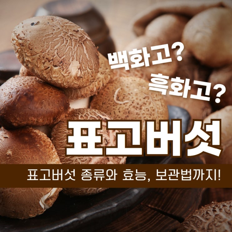 흑화고 백화고 표고버섯 종류와 효능 보관법까지 네이버 블로그