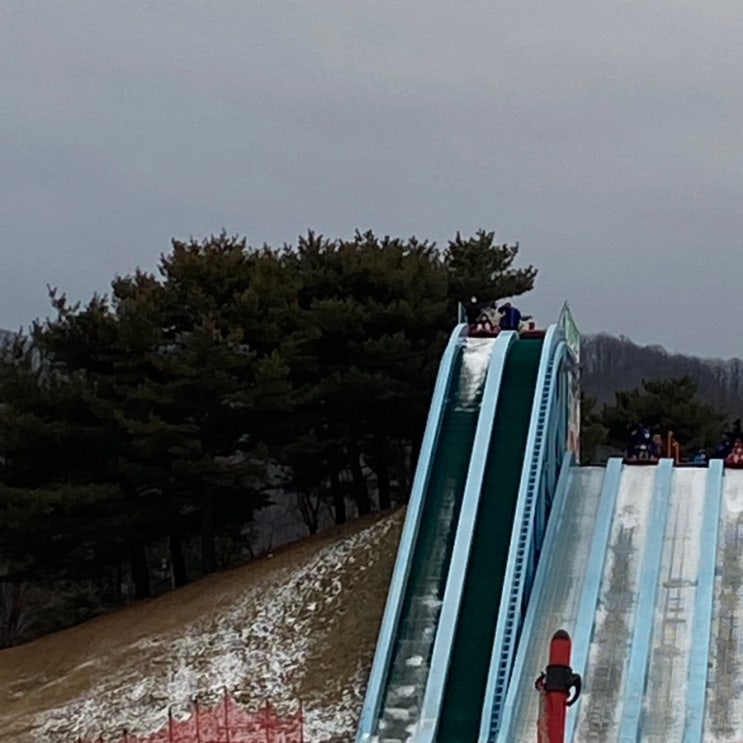 평균연령 2975세 파워 N들의 뽀쨕뽀쨕 눈썰매 여행☃️🛷 ️ 홍천 비발디파크 스노위랜드 셔틀버스 예약하는 법 네이버 블로그