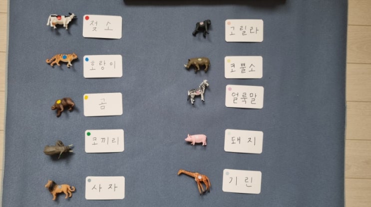 엄마표몬테소리 언어영역 단어한글카드 매칭하기 마이리틀타이거 피규어 백과 4세 한글 네이버 블로그