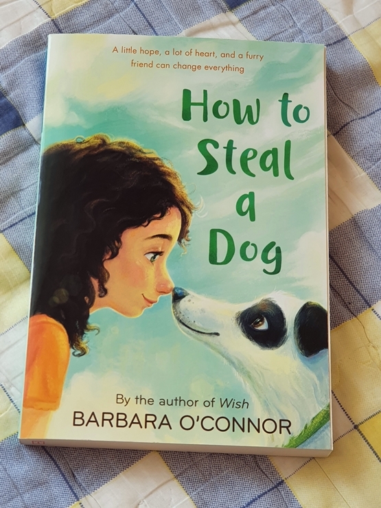 영어원서읽기 6. How to Steal a Dog(개를 훔치는 완벽한 방법) by Barbara O'Connor 후기 영화 ...