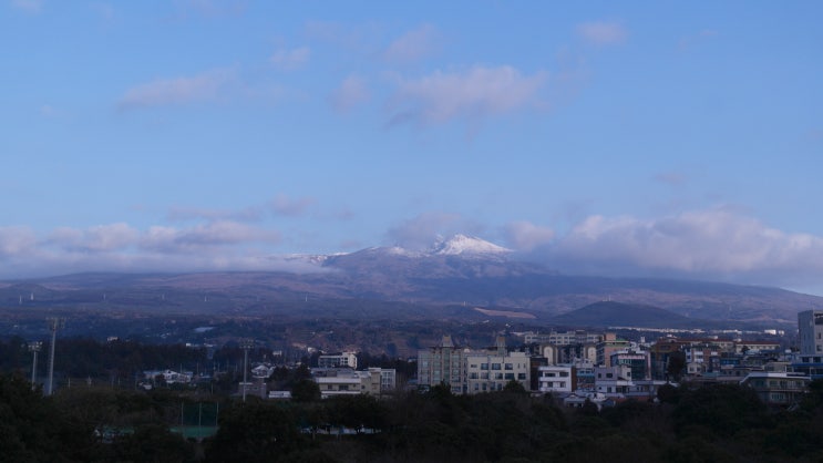 [어게인올레길] 올레길 7-1코스 : 네이버 블로그