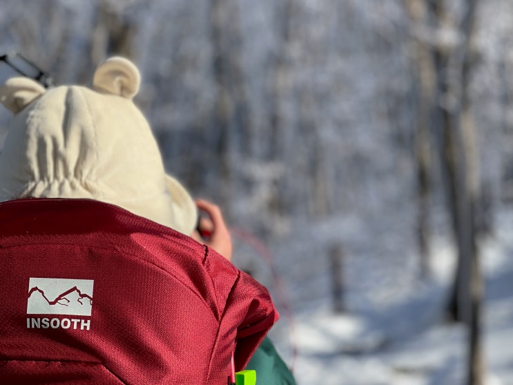 Insooth 인수스 레이몬드35L 등산가방/백패킹 배낭 추천 솔직사용후기 : 네이버 블로그