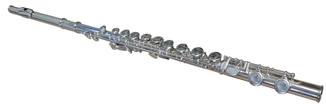 플룻(플루트)의 드렐링거 헤드조인트(Drelinger 'UpRite' Head-Joint)에 대해 알아보아요~ : 네이버 블로그