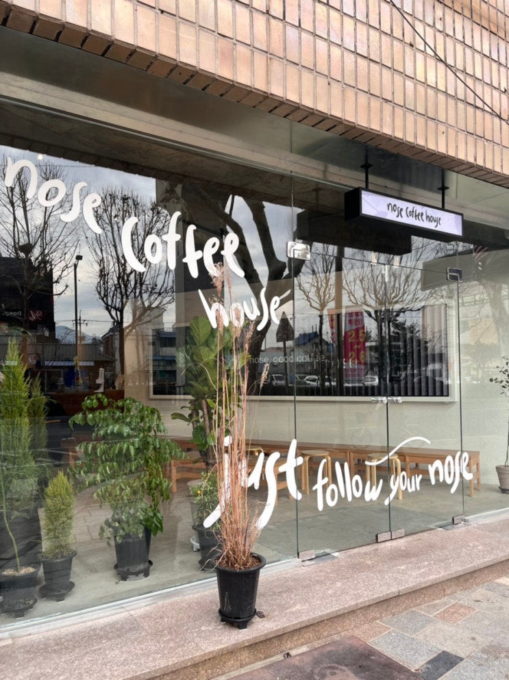 대구 대봉동 :: 노즈커피하우스 (nose coffee house) : 네이버 블로그