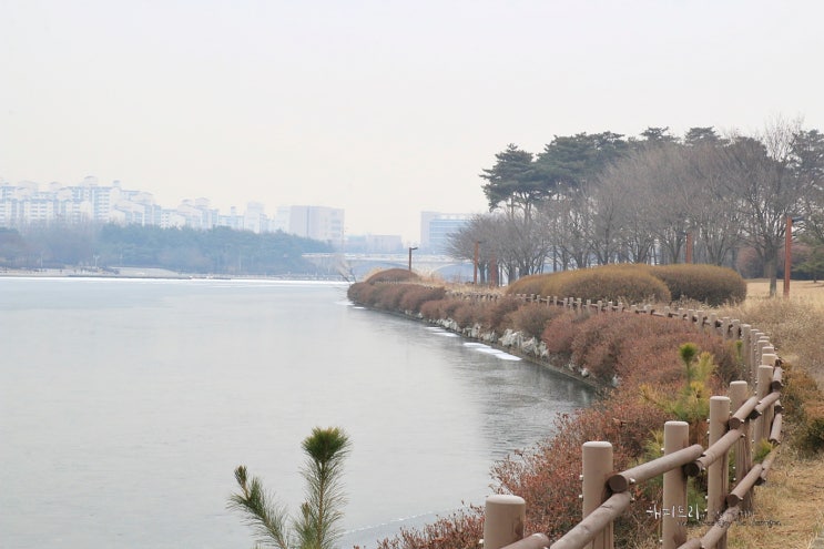 경기도일산가볼만한곳♥일산호수공원피크닉공원은 참 좋은 일산드라이브 코스 일산놀거리즐길거리 많은 경기도공원에서 주말여행 경기도1박
