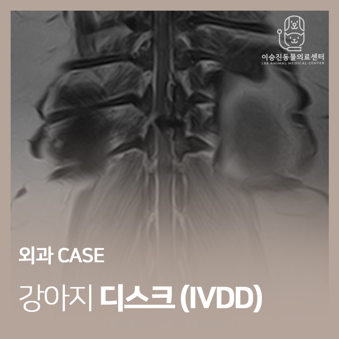 강아지 후지 마비 · 디스크 (IVDD), 강아지 MRI 검사 [울산 이승진동물의료센터] : 네이버 블로그