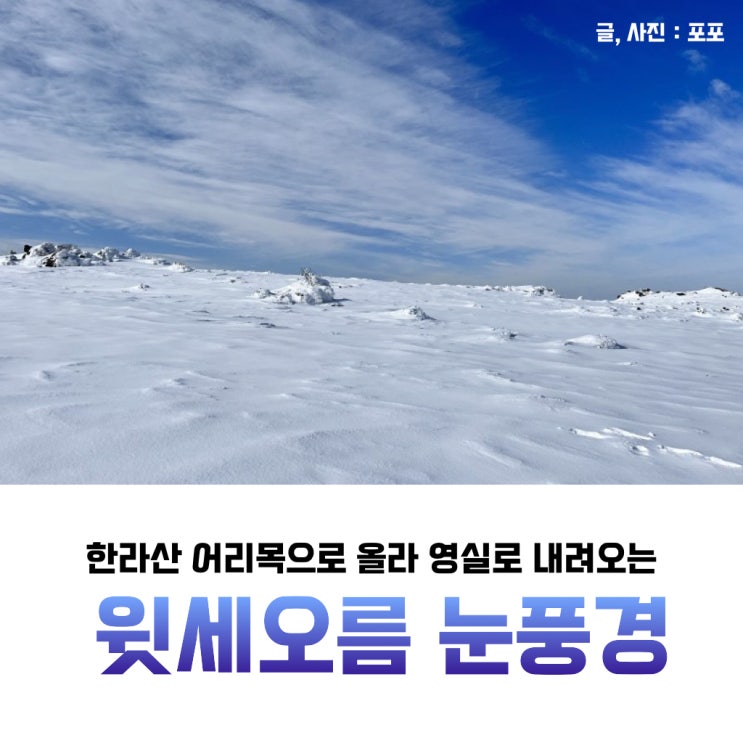 겨울 한라산 등산 알프스 뺨치는 윗세오름 설경 어리목 영실코스 남벽분기점 다녀왔어요 등산 준비물 네이버 블로그