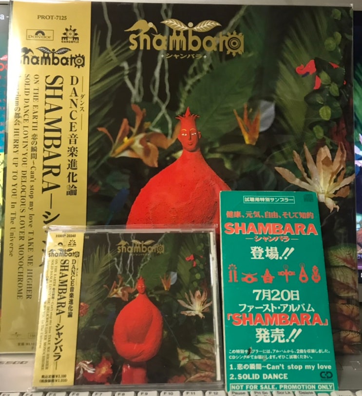 Shambara : 네이버 블로그