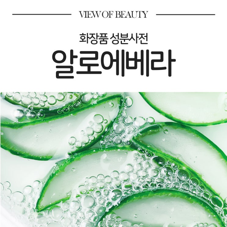 화장품 성분 뜯어보기 7 콜라겐 생성에 도움을 주는 알로에베라 네이버 블로그