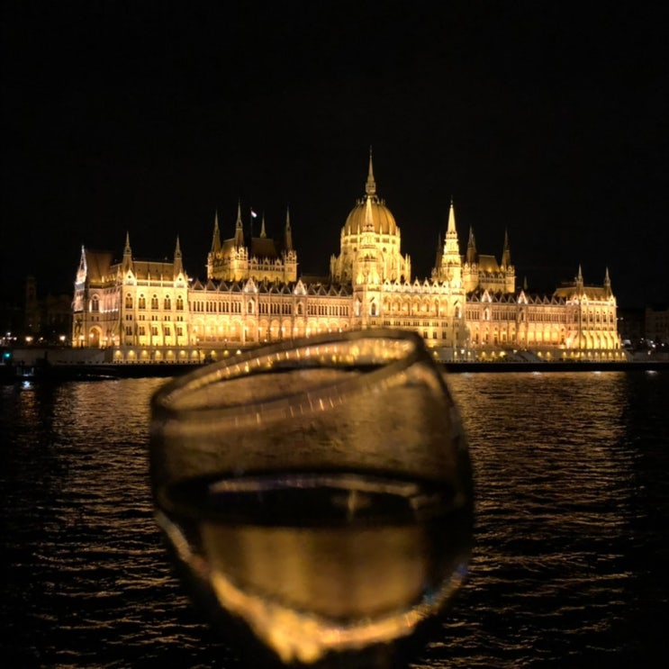 🇭🇺헝가리 부다페스트 여행 3탄 부다페스트 국회의사당 야경 맛집 다뉴브강 크루즈 추천 ️ 자유의다리서버차그다리