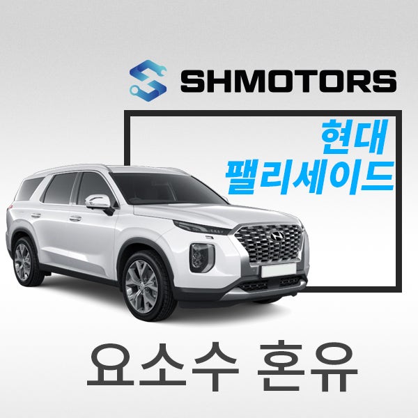Sh모터스 천왕점 현대 팰리세이드 요소수 정비 연료탱크 및 연료필터 저압모터 교환 연료라인 클리닝 디젤차요소수혼유정비