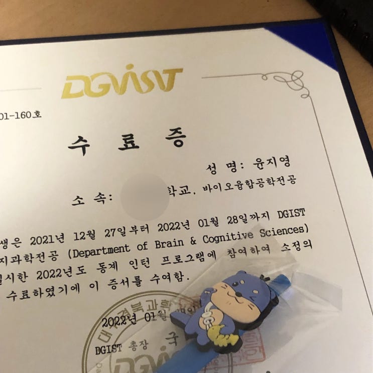 2022 DGIST 대학원 동계인턴 - 뇌인지과학전공 후기 및 이런저런 팁 : 네이버 블로그