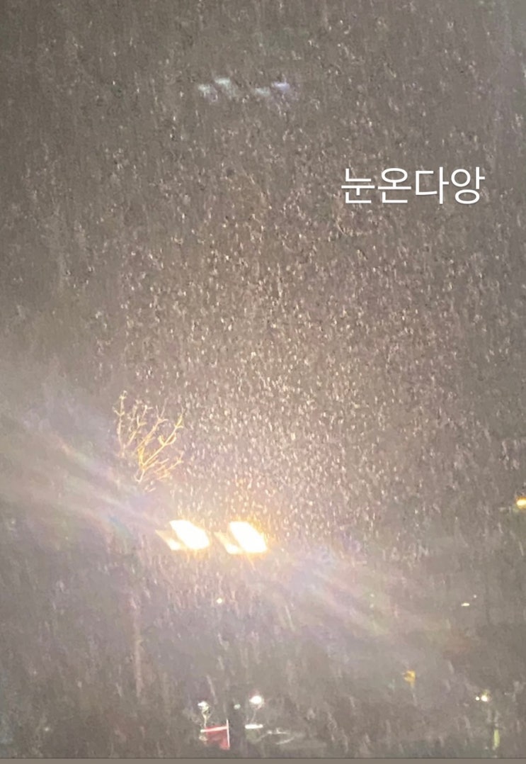 #새해를 알차게 : 네이버 블로그