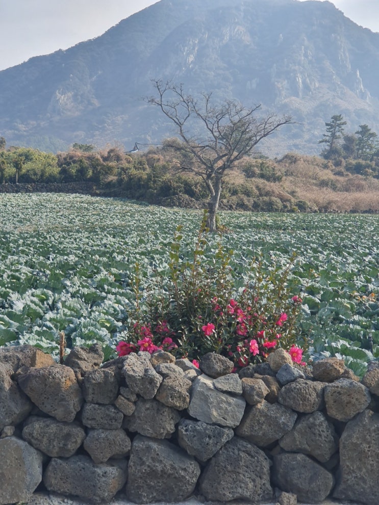 깨달음이 있는 사주 이야기~내게 맞는 일이란? : 네이버 블로그