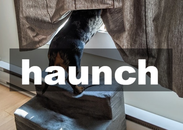 영어단어공부- 단어 haunch와 hunch 둘을 살펴볼까요? : 네이버 블로그